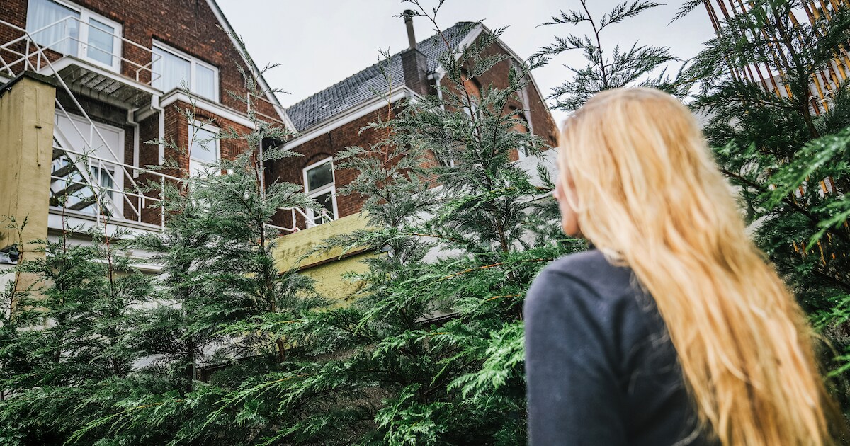 Al zes jaar op rij kan Inge niet in de tuin zitten vanwege overlast van ...