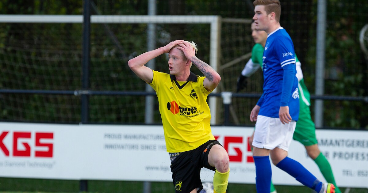 In de overlevingsstrijd die dit seizoen is, is een punt tegen WVF heel ...