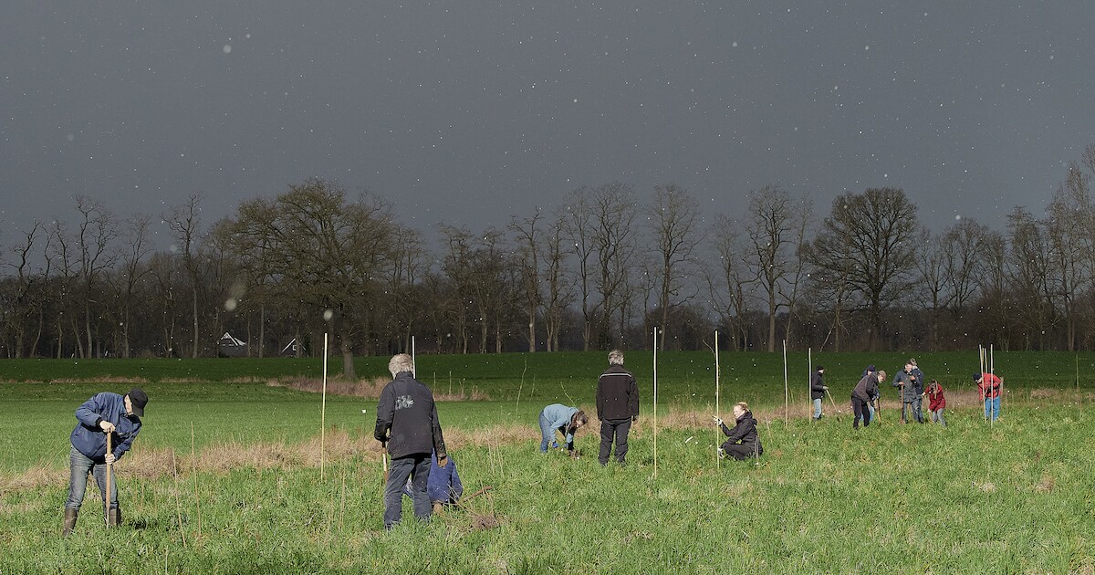 Vrijwilligers van Land van Ons planten in Empe 500 struiken voor ...