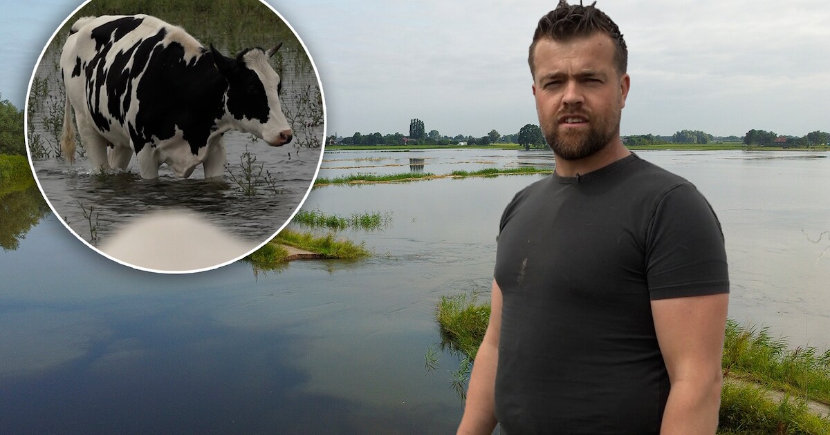 Boer Jacob na dijkdoorbraak in Hattem: ‘We hebben alles op alles gezet ...