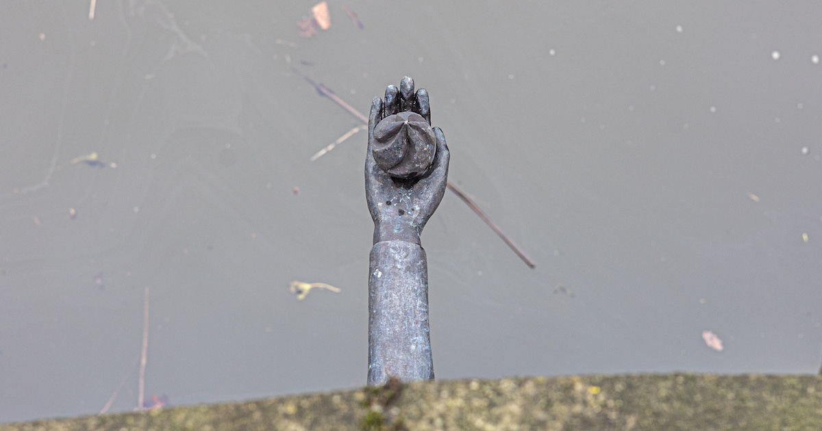 Deze hand in Zwolle ooit gezien? Er zit een opvallend verhaal achter ...