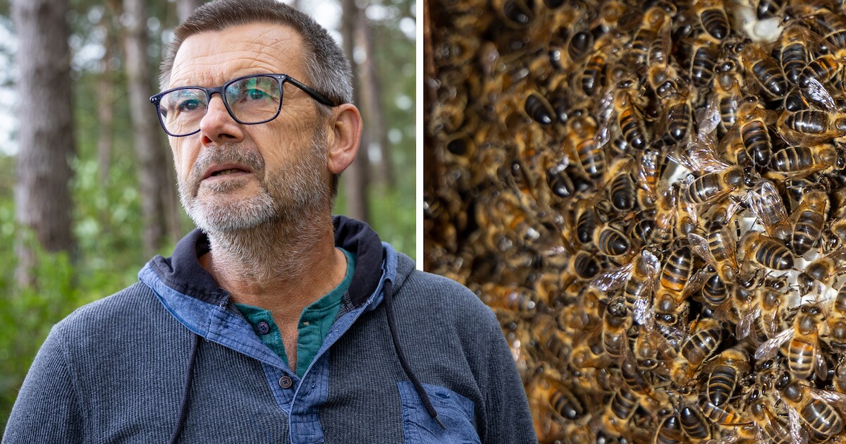 Imker Jacob wil de wilde bij redden, hij bedenkt bijzondere oplossing ...