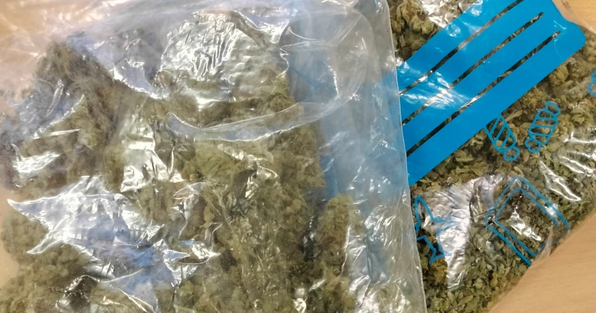 Zakken vol wiet aangetroffen in auto in Emmeloord, twee mannen aangehouden | Noordoostpolder ...