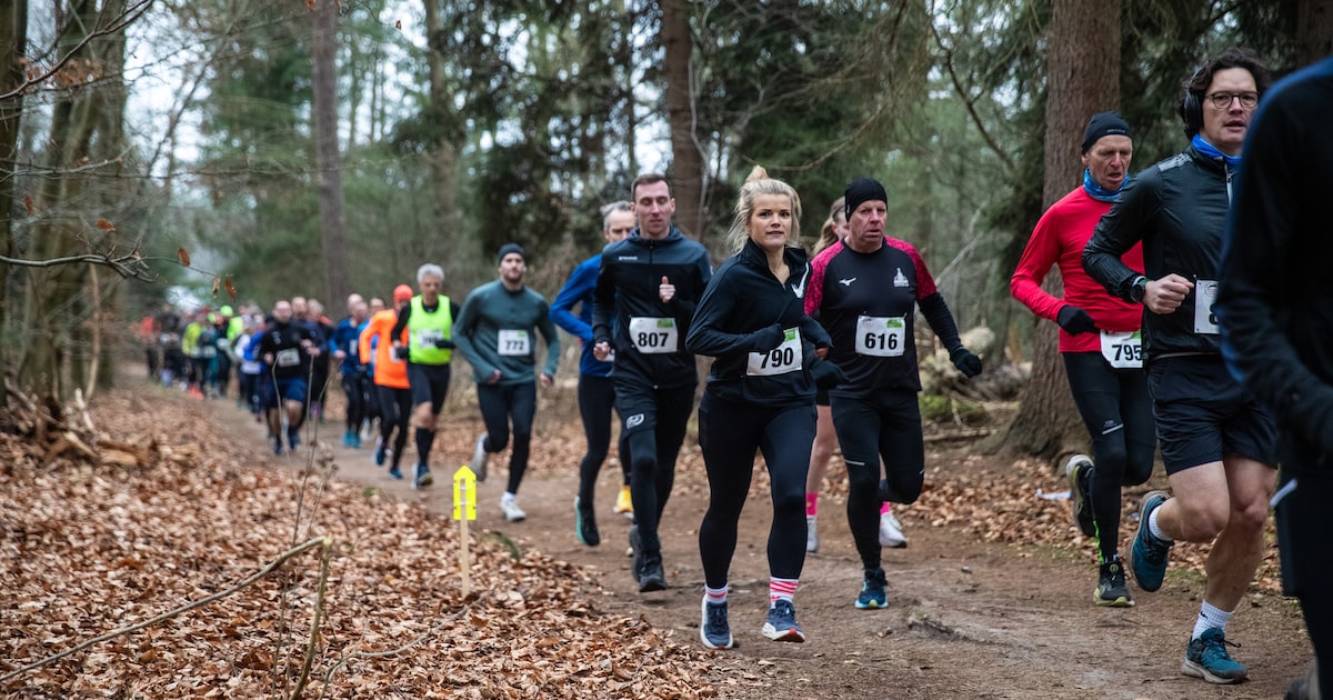 Kerstkilo’s eraf? Deze 1000 mensen lopen dwars door Achterhoekse bossen ...