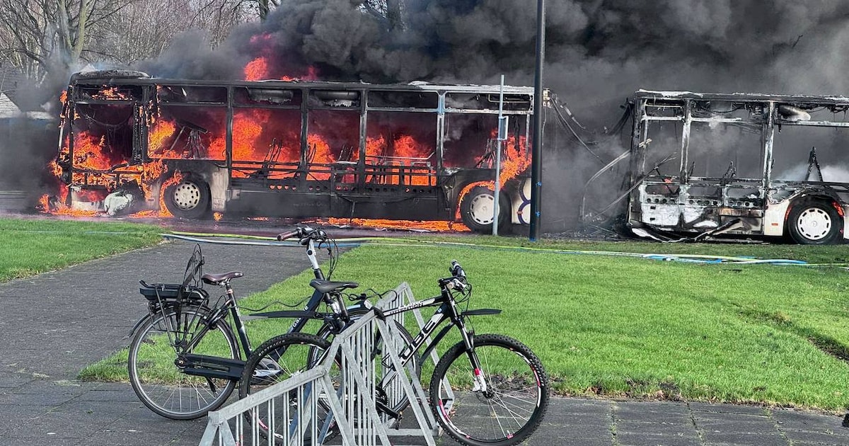 Walibi-bezoekers ontsnappen aan brand in shuttlebus, voertuig brandt ...
