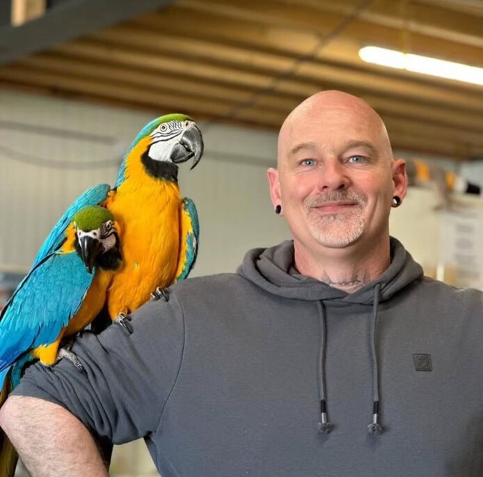 Tebbe tekent voor verbouwing van zijn huis, maar dan ziet hij wat er ...