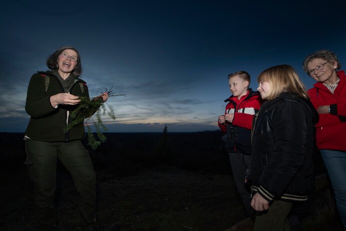Op schemertocht over de Sallandse Heuvelrug, waar je de natuur kunt ...