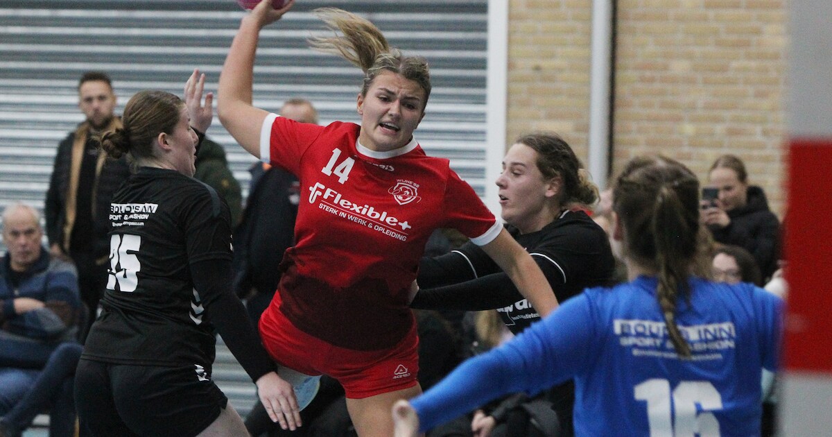 Handbaloverzicht: Wijhe’92 pakt koppositie, Overwetering krijgt loon ...