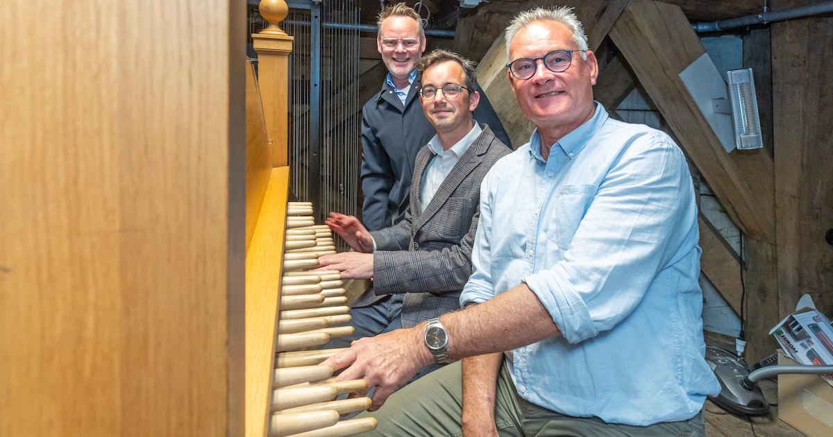 Kampen vindt nieuwe (tweede) stadsbeiaardier voor carillon Nieuwe Toren ...