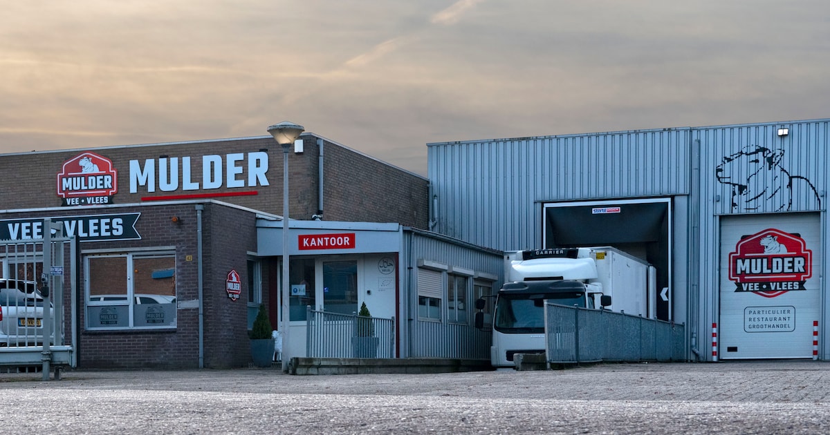 Geiten levend villen en ontlasting op consumptievlees, slachterij ...