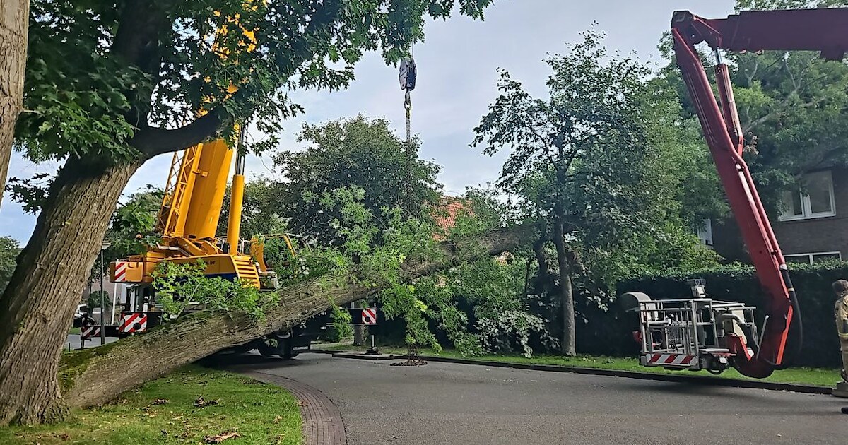 Bewoners van huis in Meppel schrikken zich rot: ineens ligt er een ...