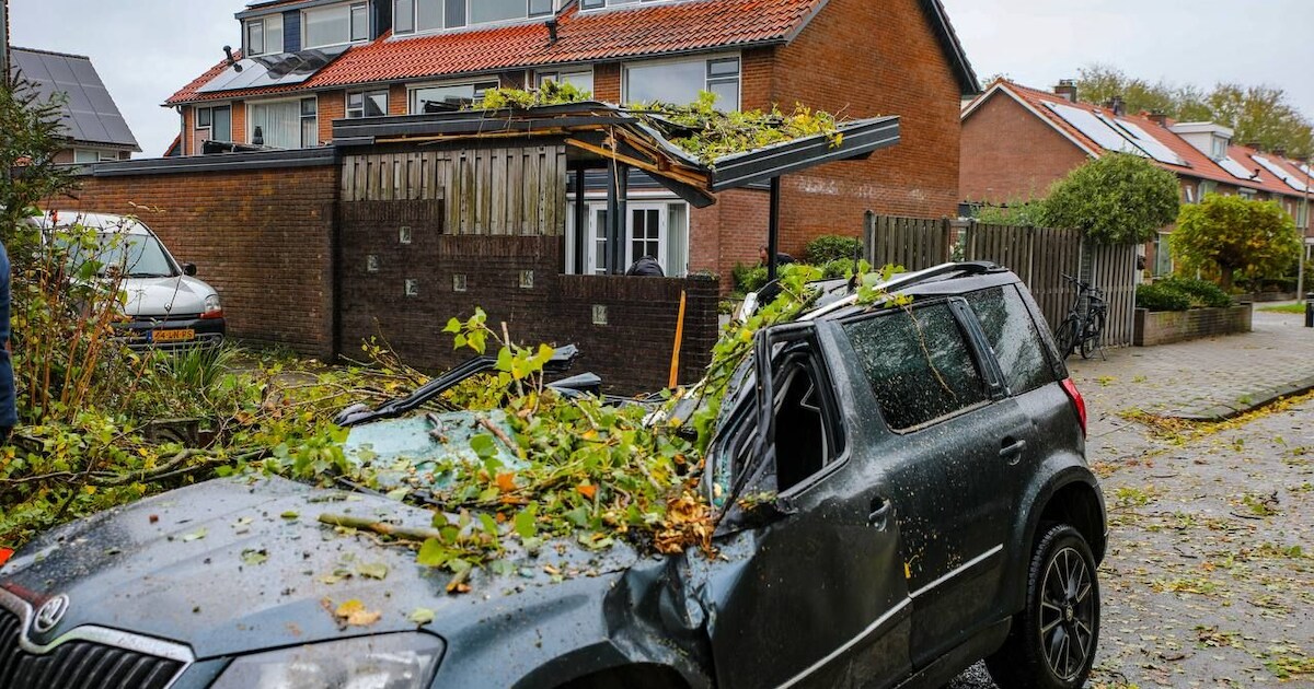 Storm Benjamin laat eerste sporen na: omgewaaide boom vernielt auto én ...