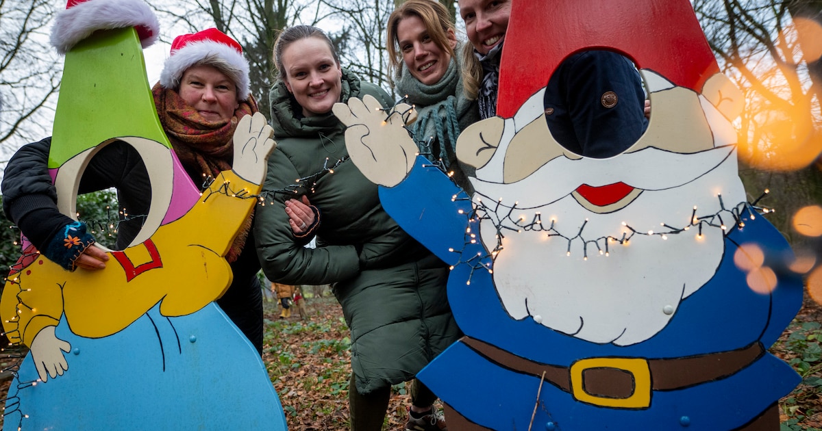 Kabouterbos rond kersttijd in Mariënheem vereist weer reuzenwerk: ‘Het ...