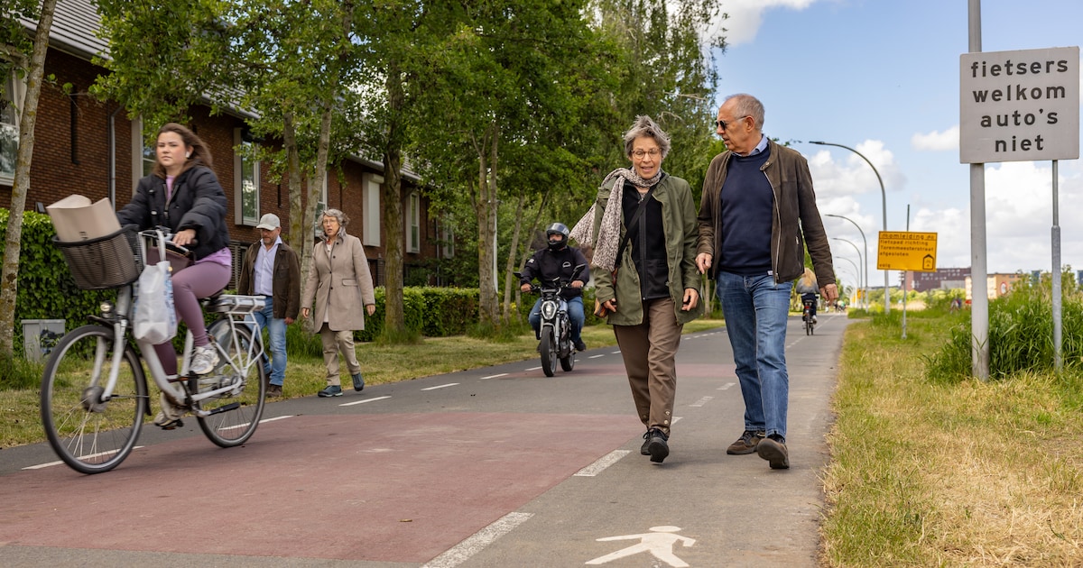Jan en Ellen vechten voor betere positie van voetgangers in Zwolle ...