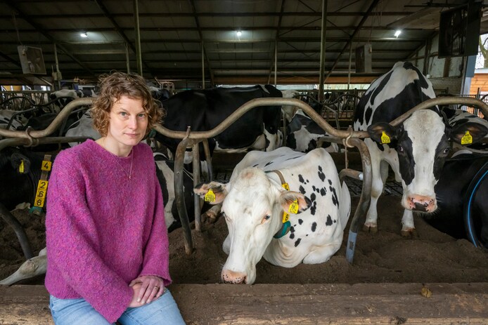 Onzekerheid over plannen Defensie vreet aan boeren, LTO eist compensatie: ‘Stop deze emotionele ...