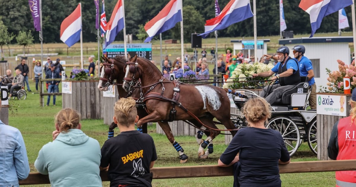 Wereldkampioenschap tweespannen wordt gehouden in Beekbergen ...
