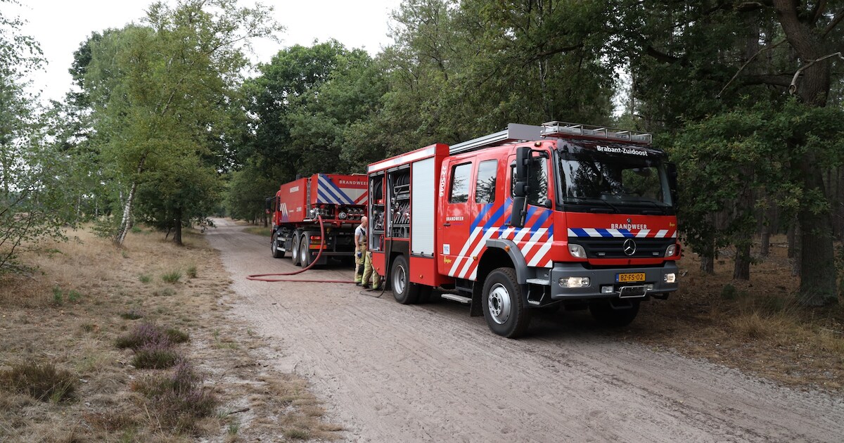 Bosbrand Best mogelijk veroorzaakt door waxinelichtjes scouting tijdens ...