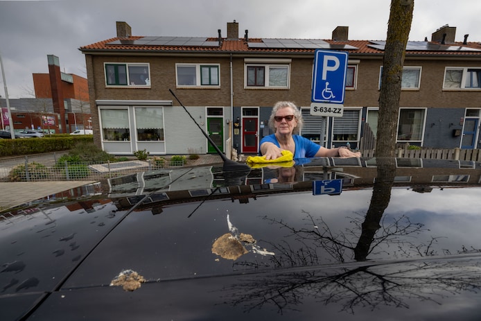 Sandra (57) moet elke dag vogelpoep van auto boenen: ‘Het liefst pak ik ...