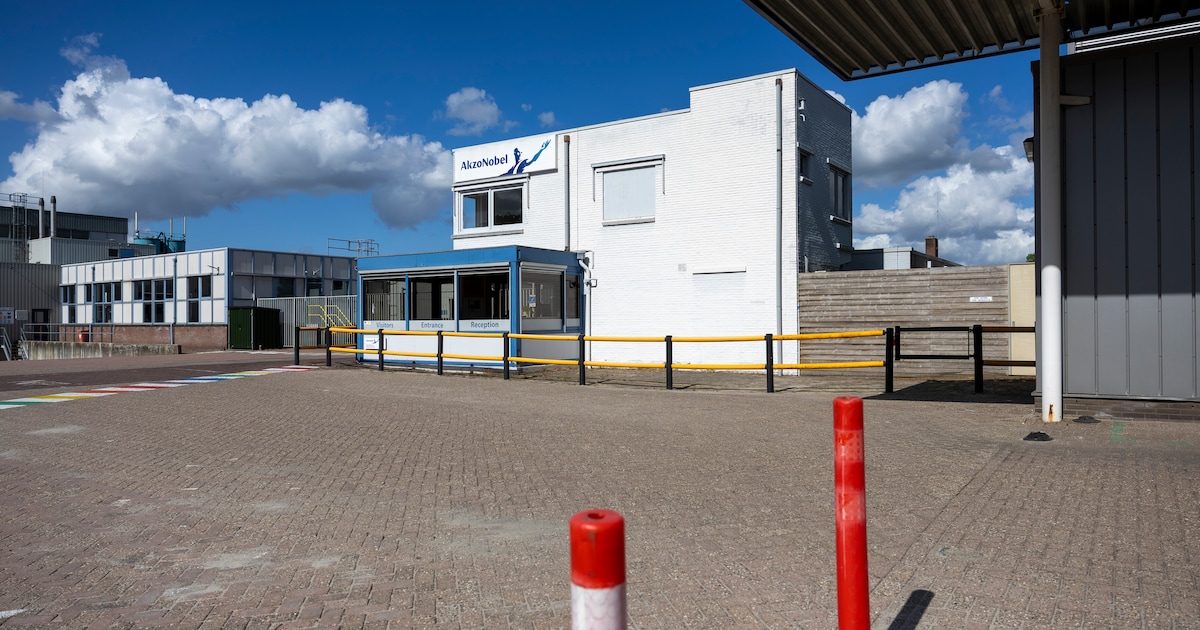 Verffabriek AkzoNobel blijft nog twee jaar open in Wapenveld: ‘Lopen ze ...