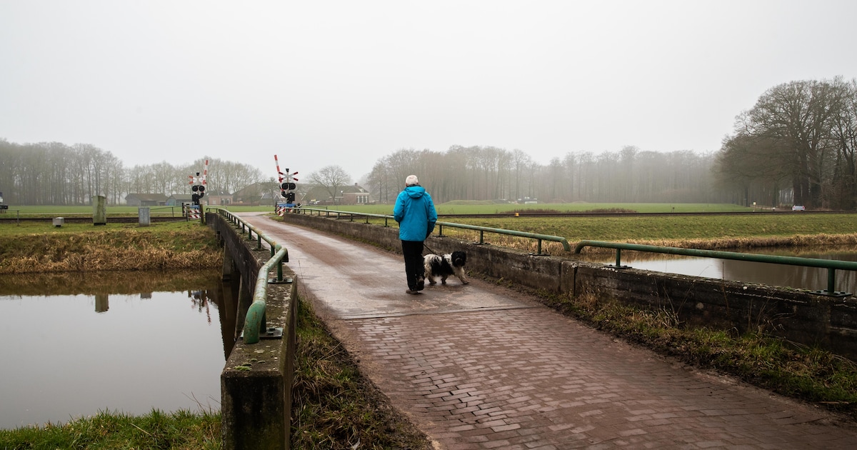 Scheuren in brug Almen leiden tot snelle ‘dure’ vervanging: ‘Veiligheid ...