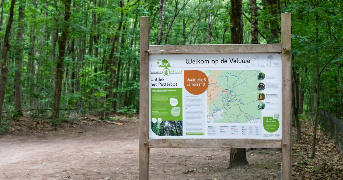 Putten wil 3,2 miljoen euro betalen om Putterbos openbaar te houden ...