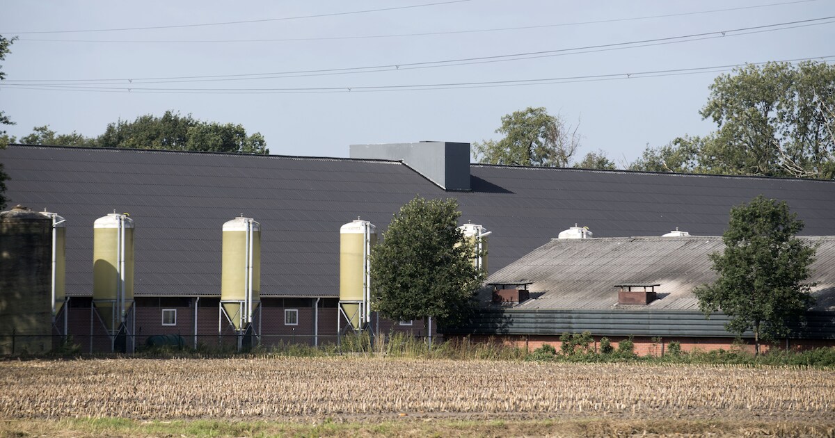 Nieuwe cijfers laten zien: er gaat nog steeds veel mis bij luchtwassers in veestallen | Home ...