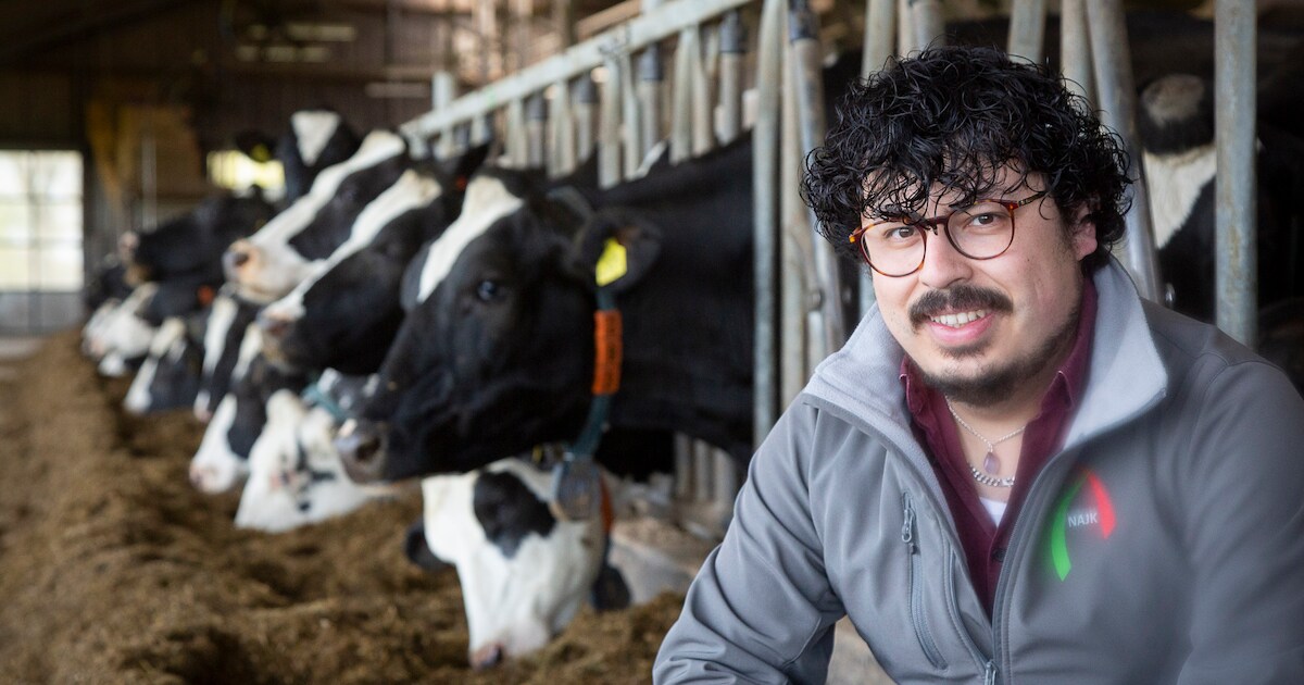 Vaagheid overheid leidt tot leegloop agrarische sector: ‘Jonge boeren ...