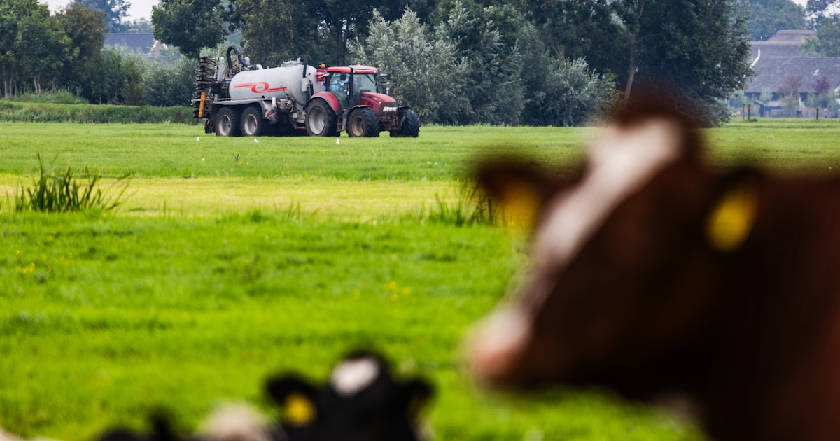 Provincies moeten dure plannen stikstofaanpak afzwakken, zijn de doelen dan nog haalbaar ...