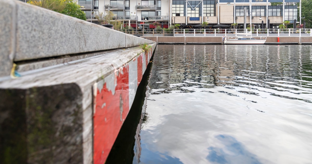 Haven Zeewolde staat op instorten door foute materiaalkeuze ...