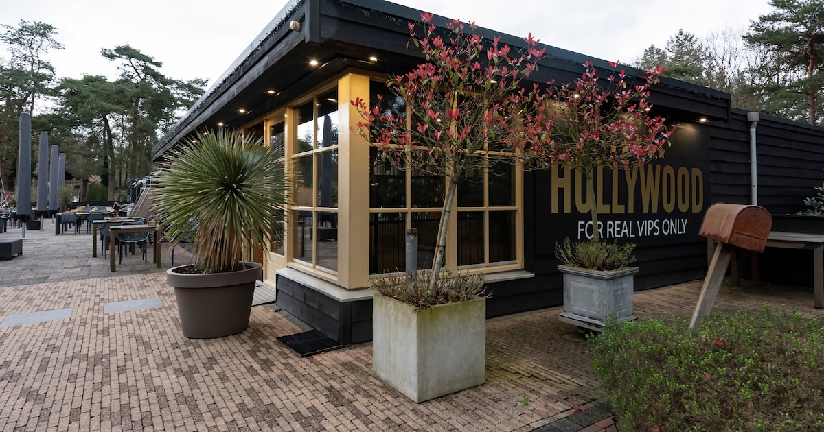 Uit het niets vallen er rake klappen in restaurant in Holten: ‘De sfeer ...