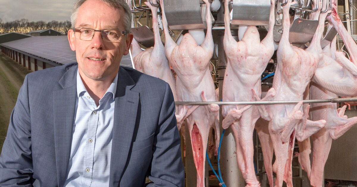 Tomassen Duck-To ontsnapt aan 500.000 euro dwangsommen: Raad van State ...