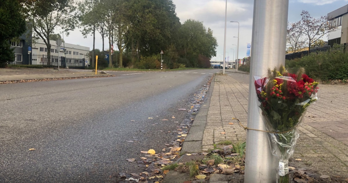 De pijn na de dood van Anna (18) is voor haar moeder onverdraaglijk ...