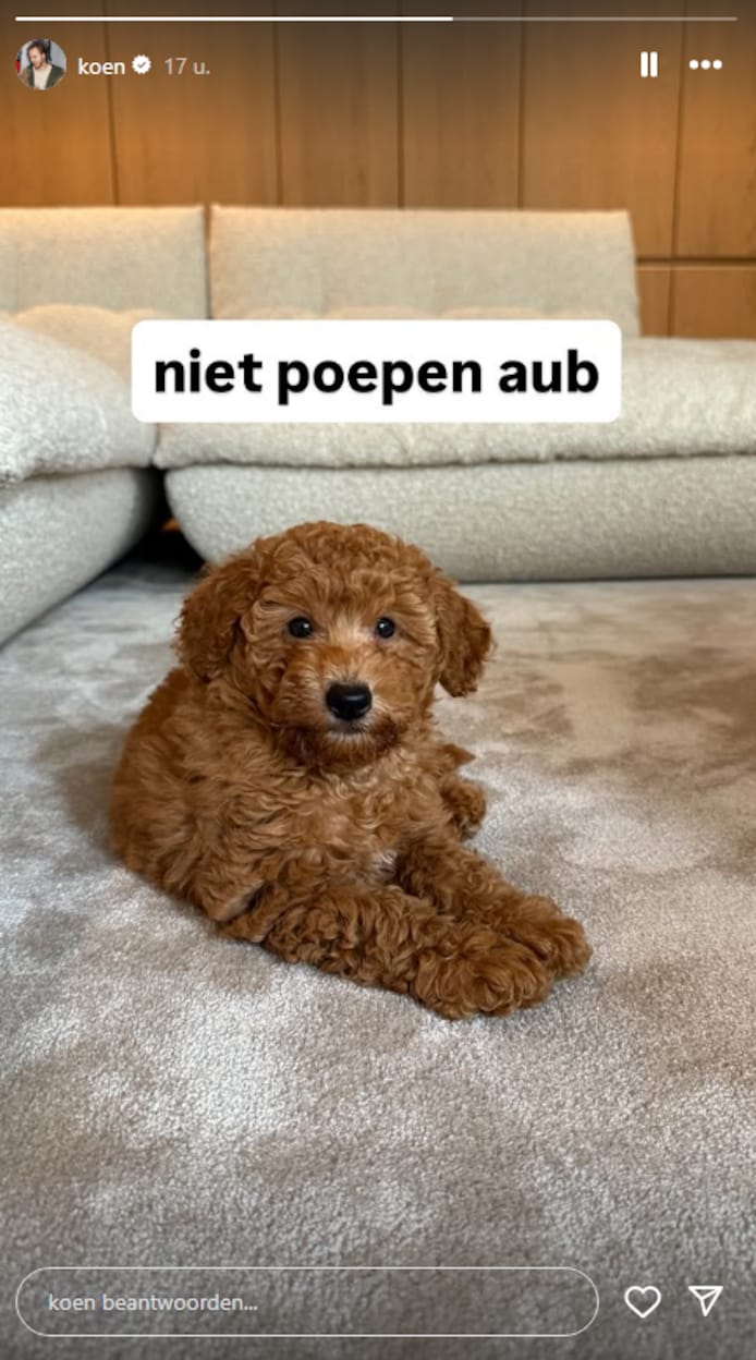 Roxy en Koen zetten volgende stap in relatie, Wendy kan geen fiets meer zien | Show | destentor.nl