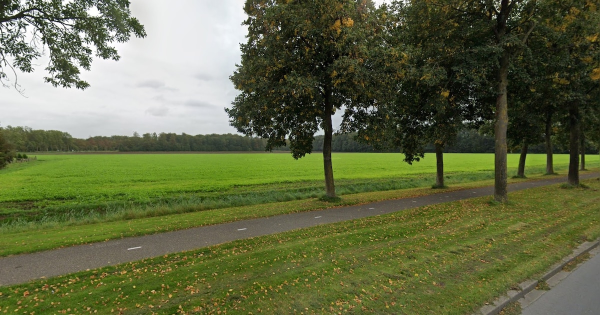 Ondanks fout van gemeente mag bouw van hoge flats in Emmeloord doorgaan ...