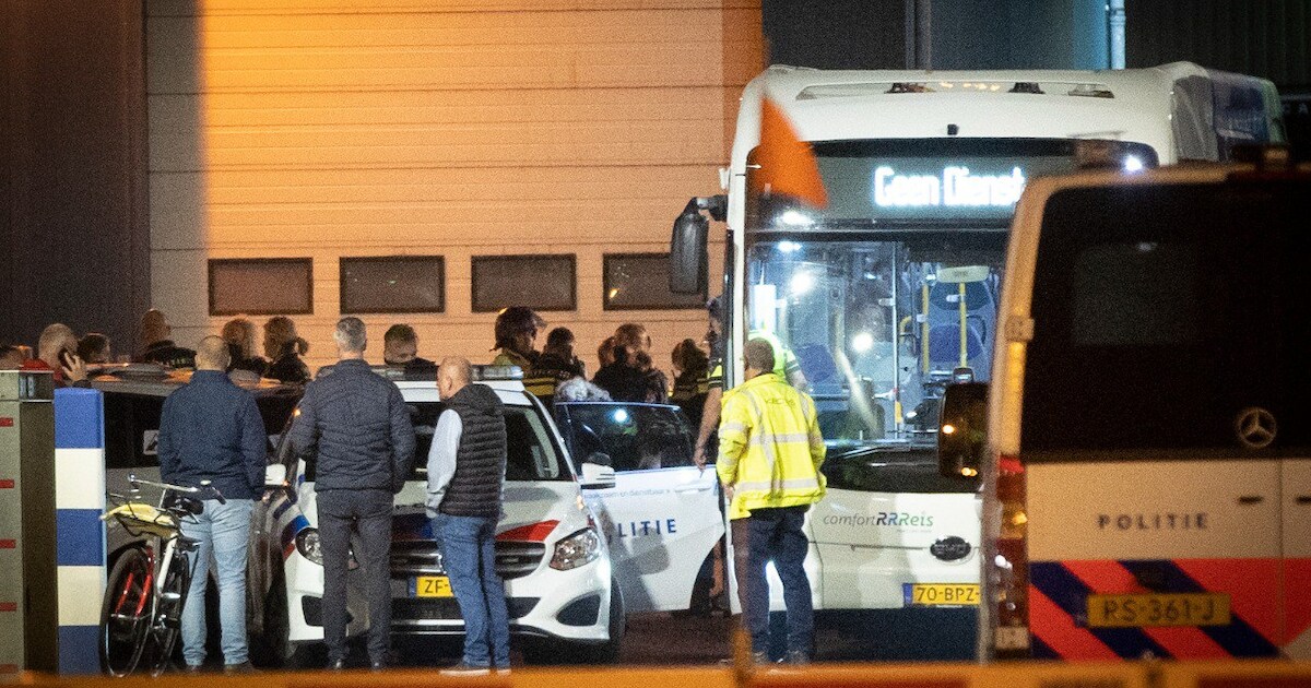 Activisten breken in bij Apeldoornse slachterij Ekro en ketenen zich ...