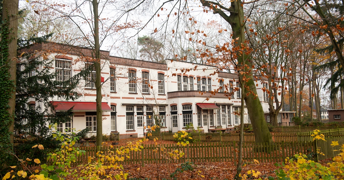 Mijn dochter kreeg gelijk: ik ben blij dat ik mentor ben geworden ...