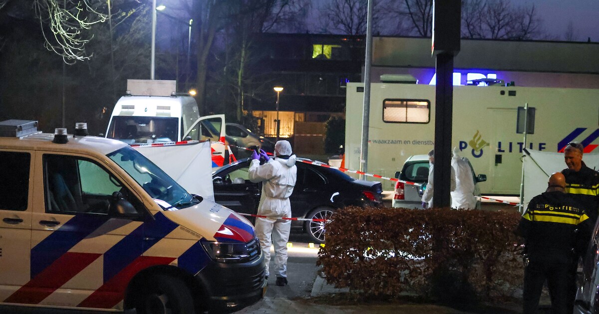 Naasten vermoorde Peter Bloemink (44) hopen op meer info in rechtbank ...