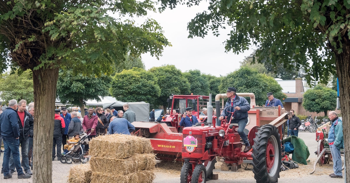 Gezelligheid, maar ook kritiek en strijdlust tijdens Ossenmarkt in Putten: ‘Boeren worden de ...