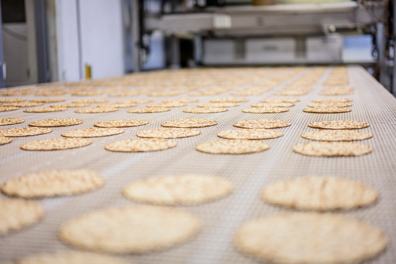 Film Enschedese Synagoge geeft indringend beeld van joods verleden ...