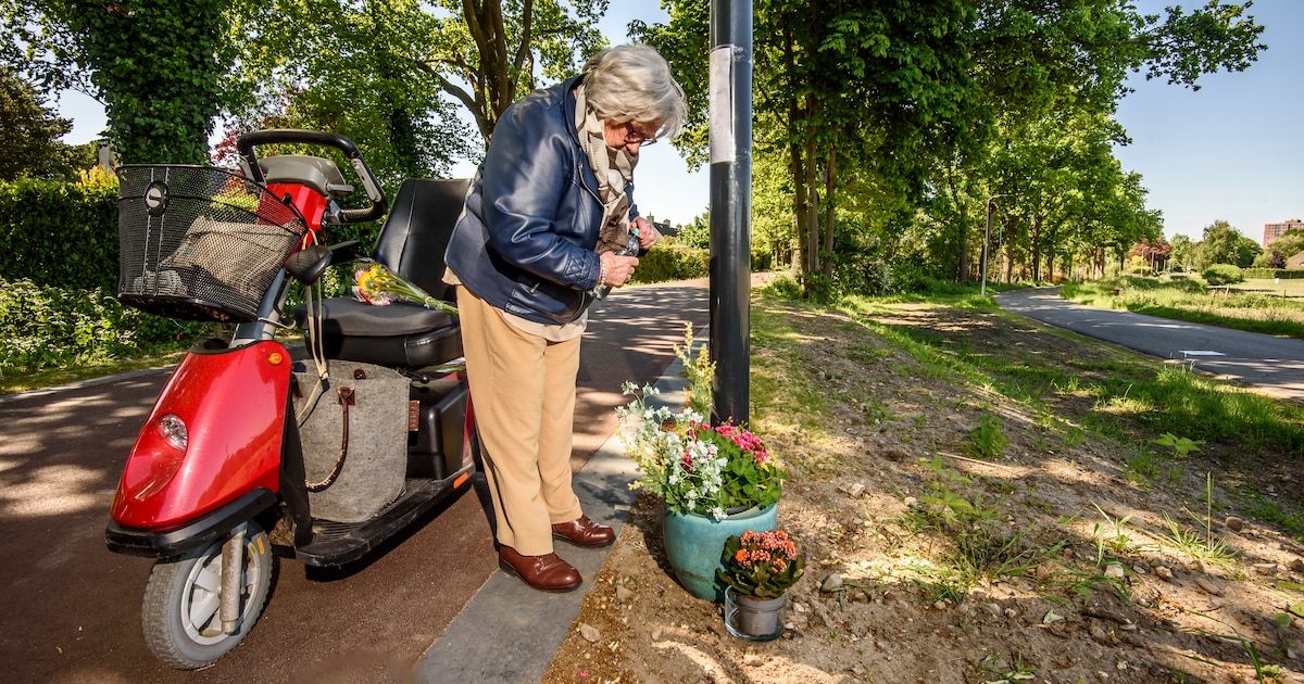 Bloemen, vazen en potten: iemand plundert het monument voor overleden ...
