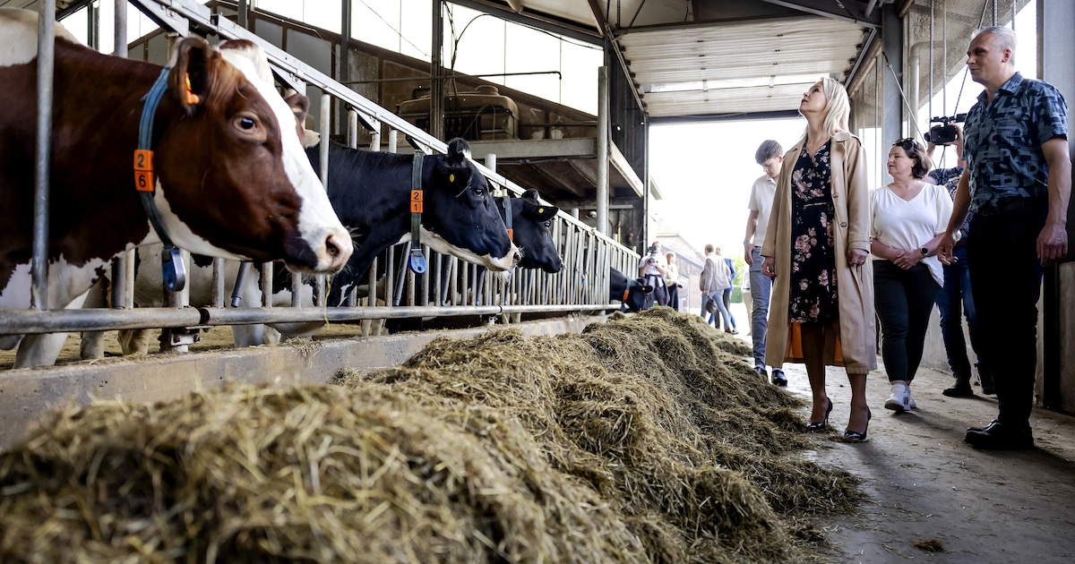 Minister komt met stikstofplan: meer geld voor natuur en voor boeren ...