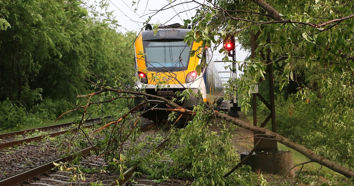 ProRail waarschuwt voor problemen op het spoor door stormschade | Regio ...