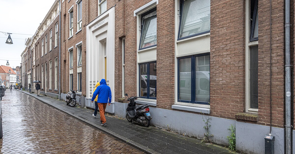 Buren zijn vliegenplaag en stank beu: moet bewoner (62) uit Zwolle ...