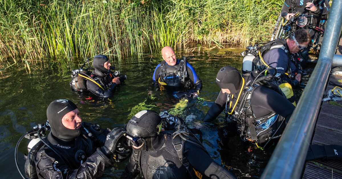 Meer dan zwemmen alleen: dit zijn de verborgen schatten van Bussloo ...