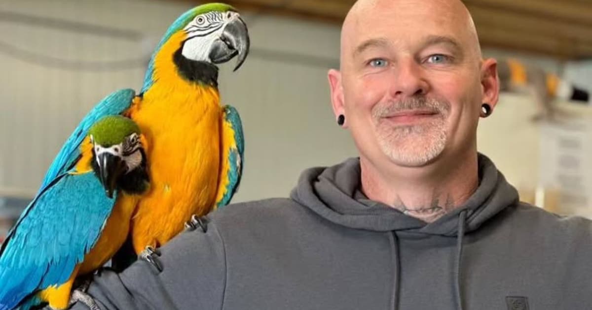 Tebbe tekent voor verbouwing van zijn huis, maar dan ziet hij wat er ...