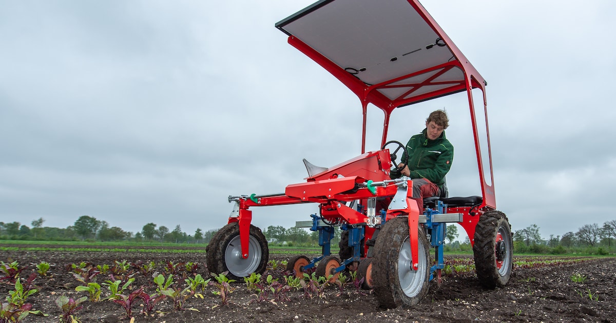 Dit trekkertje van 19.000 euro gaat geruisloos over het land: ‘Een ...