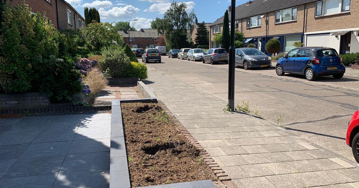 Categorie klein leed, maar wel irritant: boompjes uit voortuin van ...