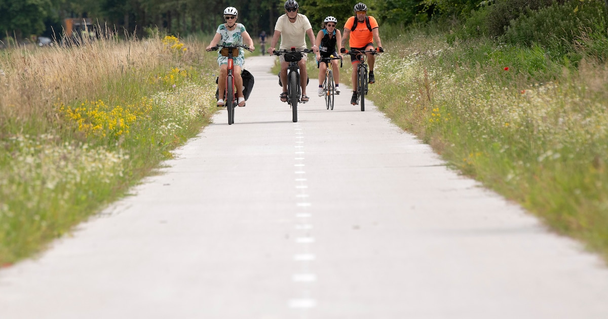 Meer comfort op fietspaden in en rond Deventer: ‘Beton is fijner dan ...