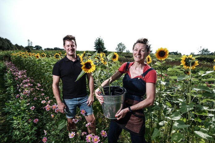De pluktuin van Maria en Bas is hot: ‘Het lijkt wel of heel Nederland ...