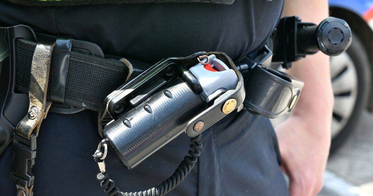 Agent ontslagen die onder invloed van alcohol mot kreeg met boa’s ...